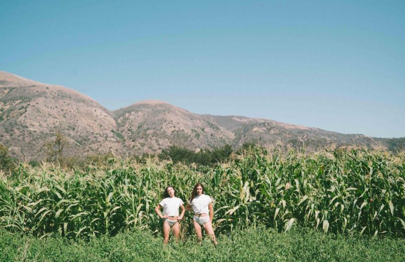 Reversing Climate Change with Compost – KENT | super natural basics