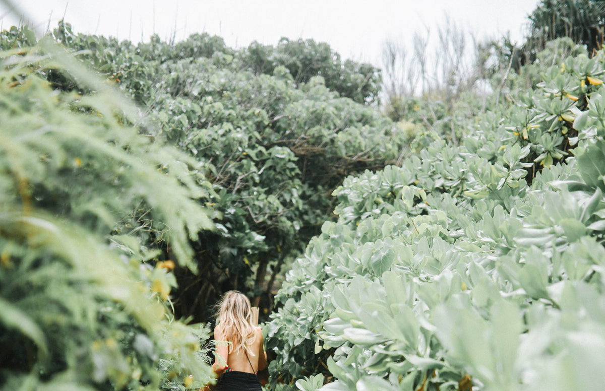 How to grow the perfect spring garden – KENT | super natural basics